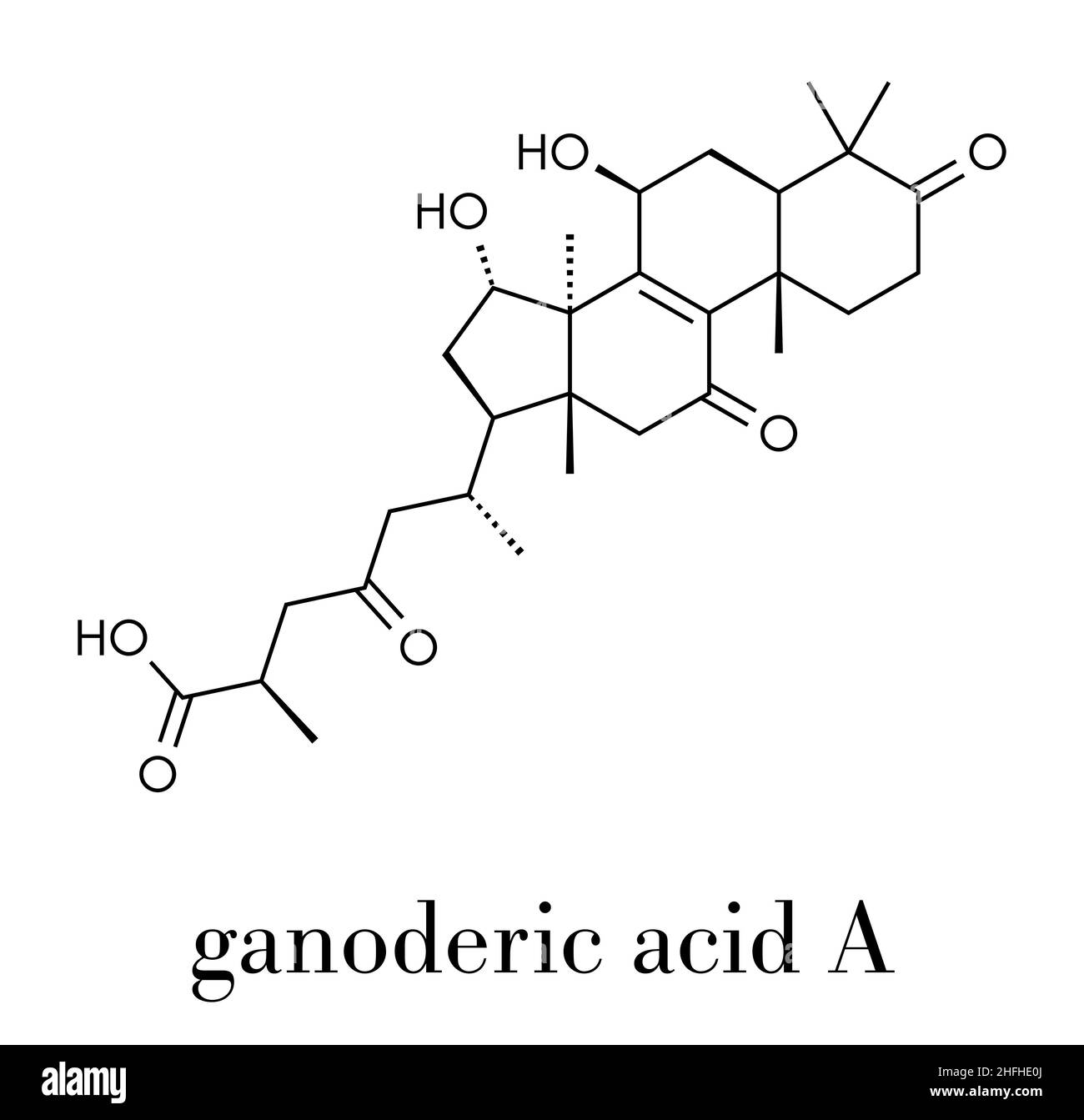 Ganoderma mushrooms Stock Vector Images - Alamy