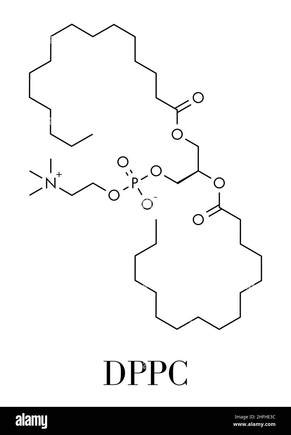 Pulmonary surfactant molecule. Chemical structure of ...