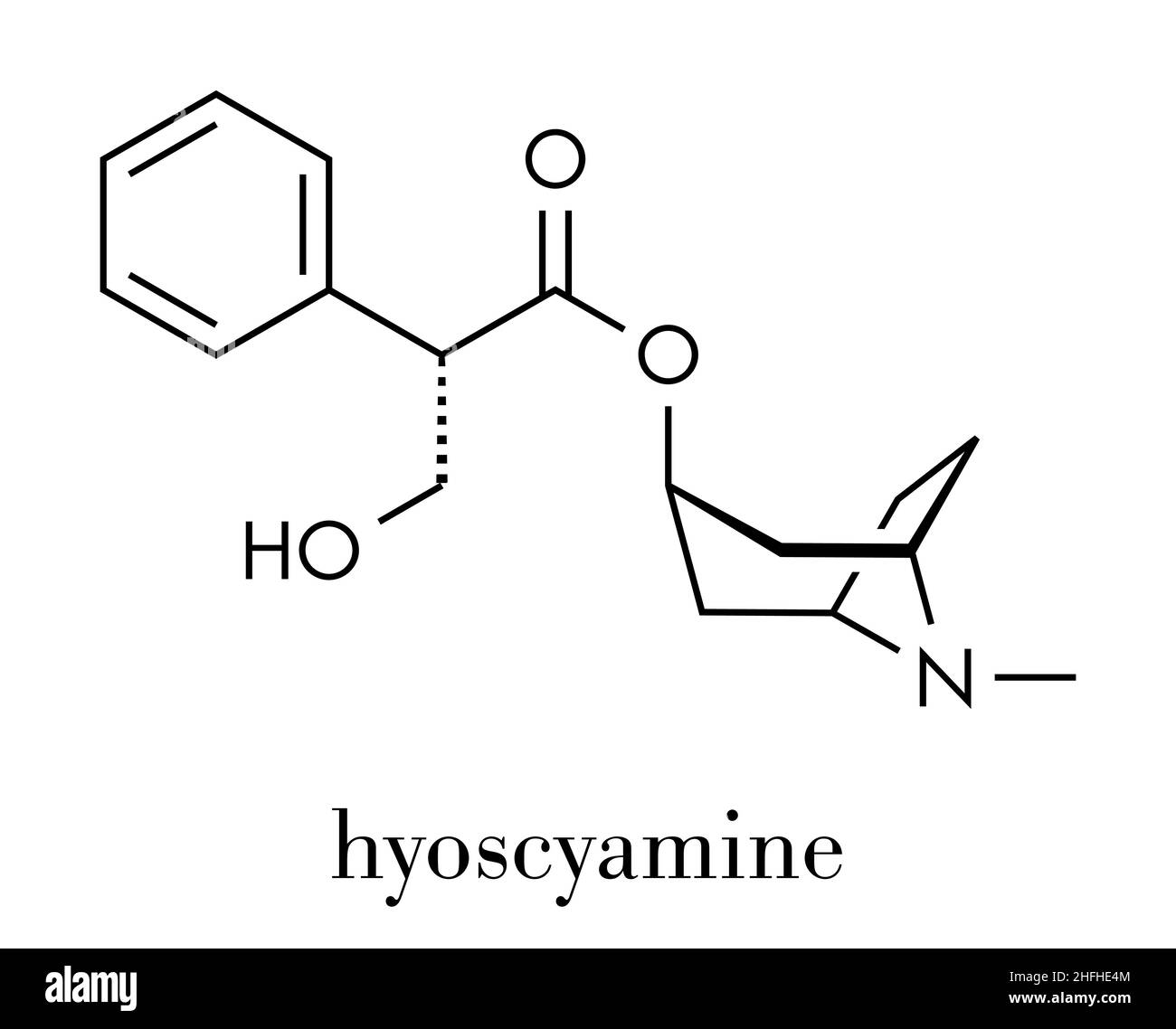Hyoscyamine alkaloid molecule. Herbal sources include henbane, mandrake ...