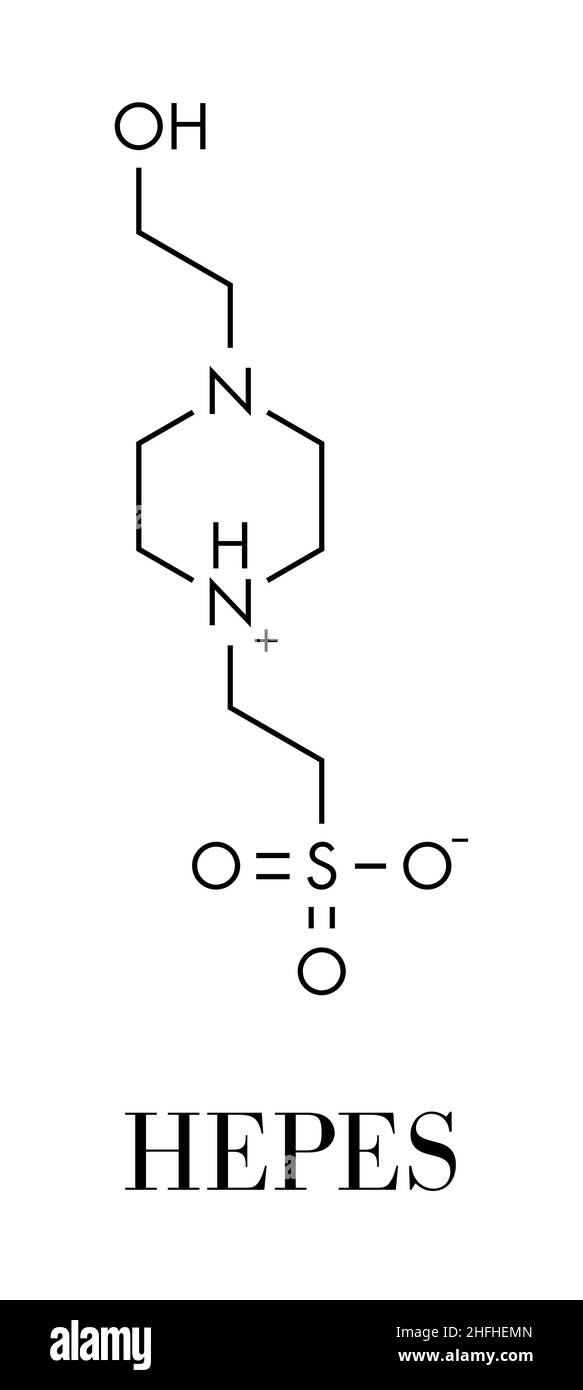 Hepes Stock Vector Images - Alamy