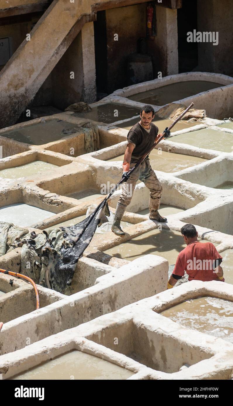 Fez, Morocco - April 2018: Tanners working in the dye pots at Chouara ...