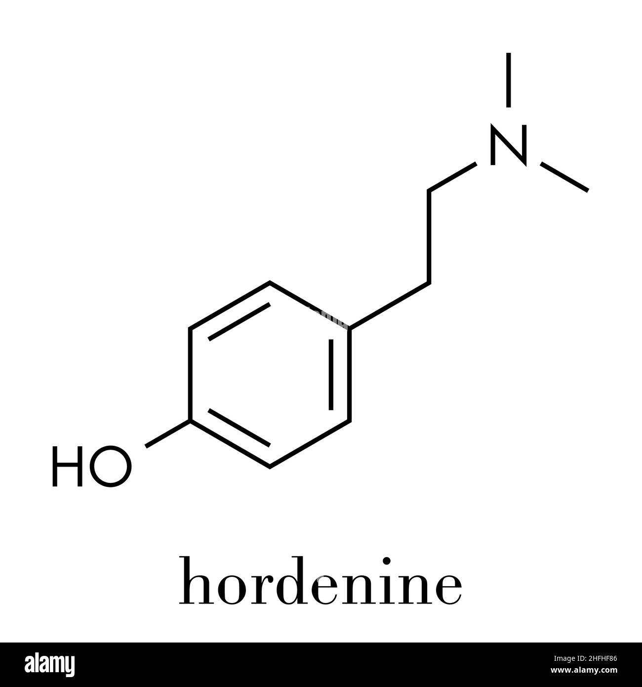 Hordenine (dimethyltyramine) stimulant molecule, chemical structure ...
