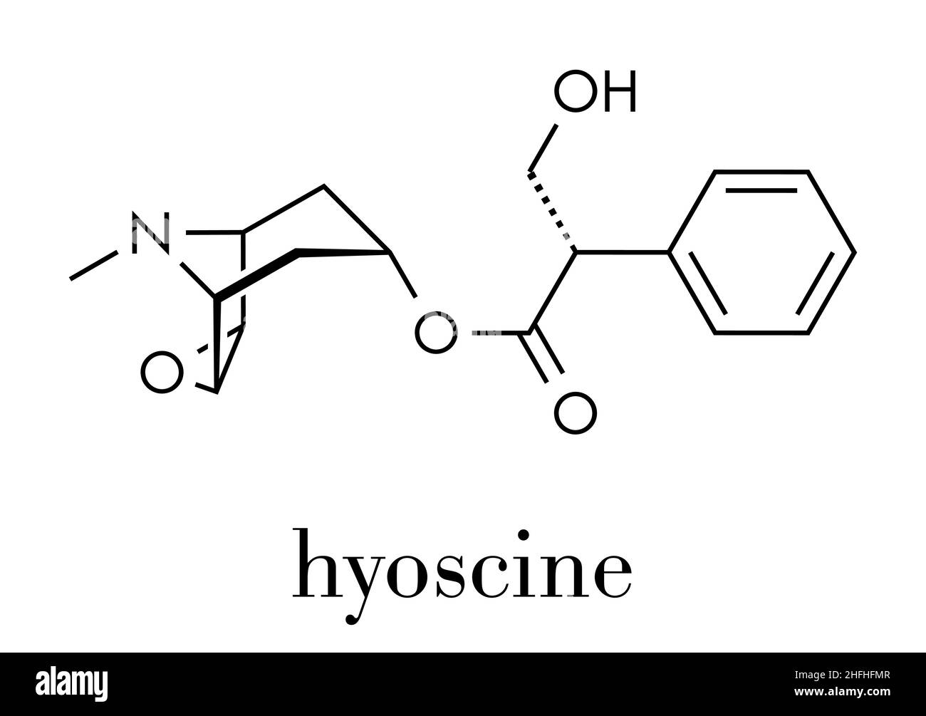 Scopolamine (hyoscine) anticholinergic drug molecule. Used in treatment ...