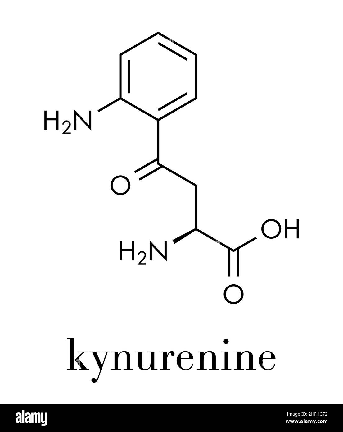 Kynurenine tryptophan metabolite molecule. Skeletal formula Stock ...