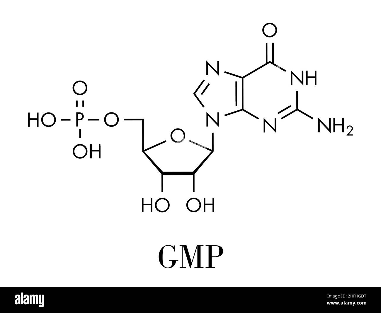 Guanosine monophosphate (GMP, guanylic acid) RNA building block ...