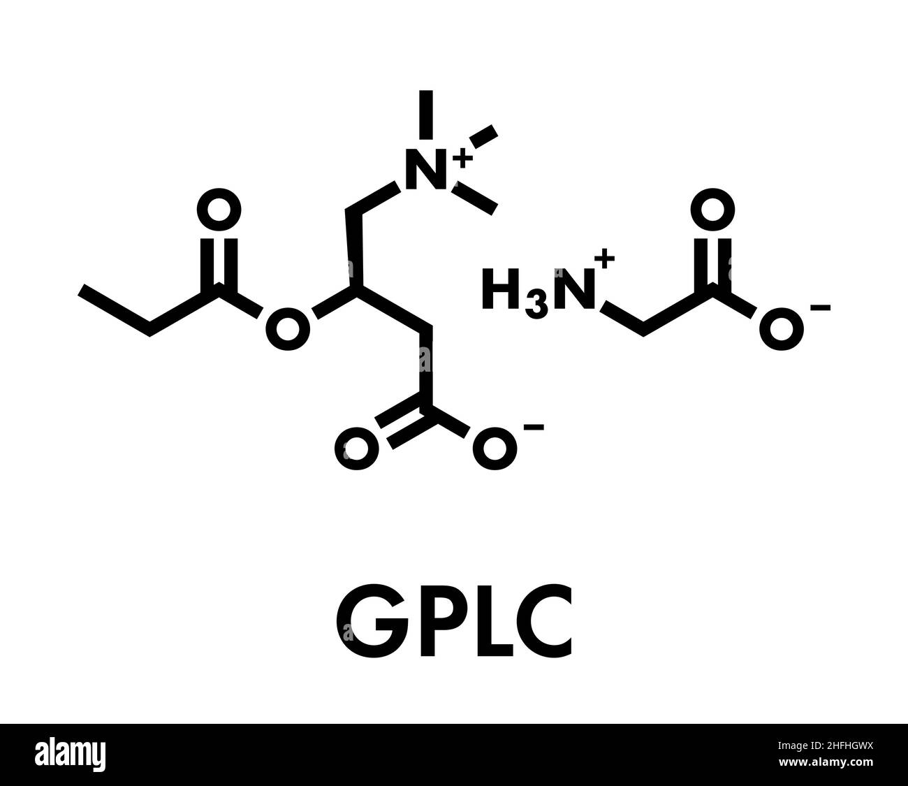GPLC (glycine propionyl-L-carnitine) nutritional supplement molecule ...