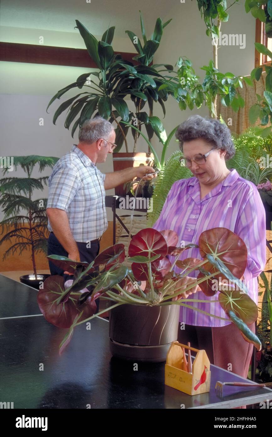 An older retired couple cares for their plants Stock Photo - Alamy
