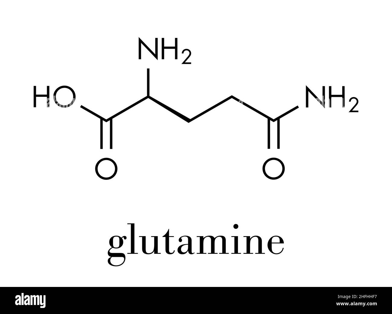 Glutamine (l-glutamine, Gln, Q) amino acid molecule. Skeletal formula ...