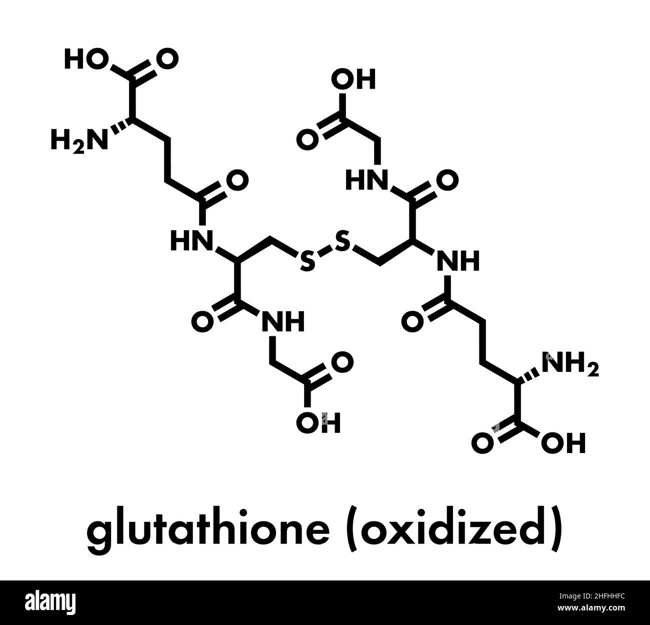 Oxidized glutathione molecule Black and White Stock Photos & Images - Alamy