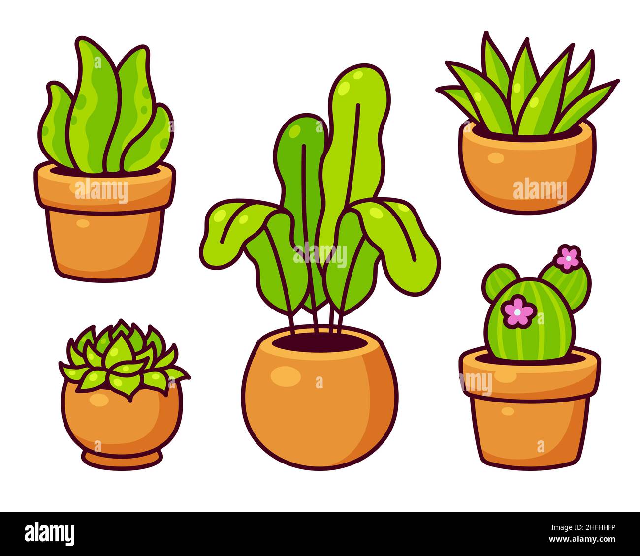 Cartoon house plants in pots, cactus and succulent. Hand drawn vector ...