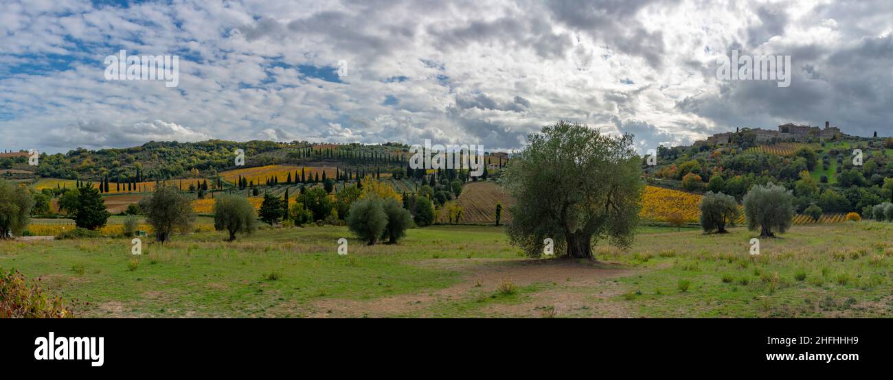 Walking on hills near Abbazia Sant'Antimo, Montalcino, Tuscany, Italy ...