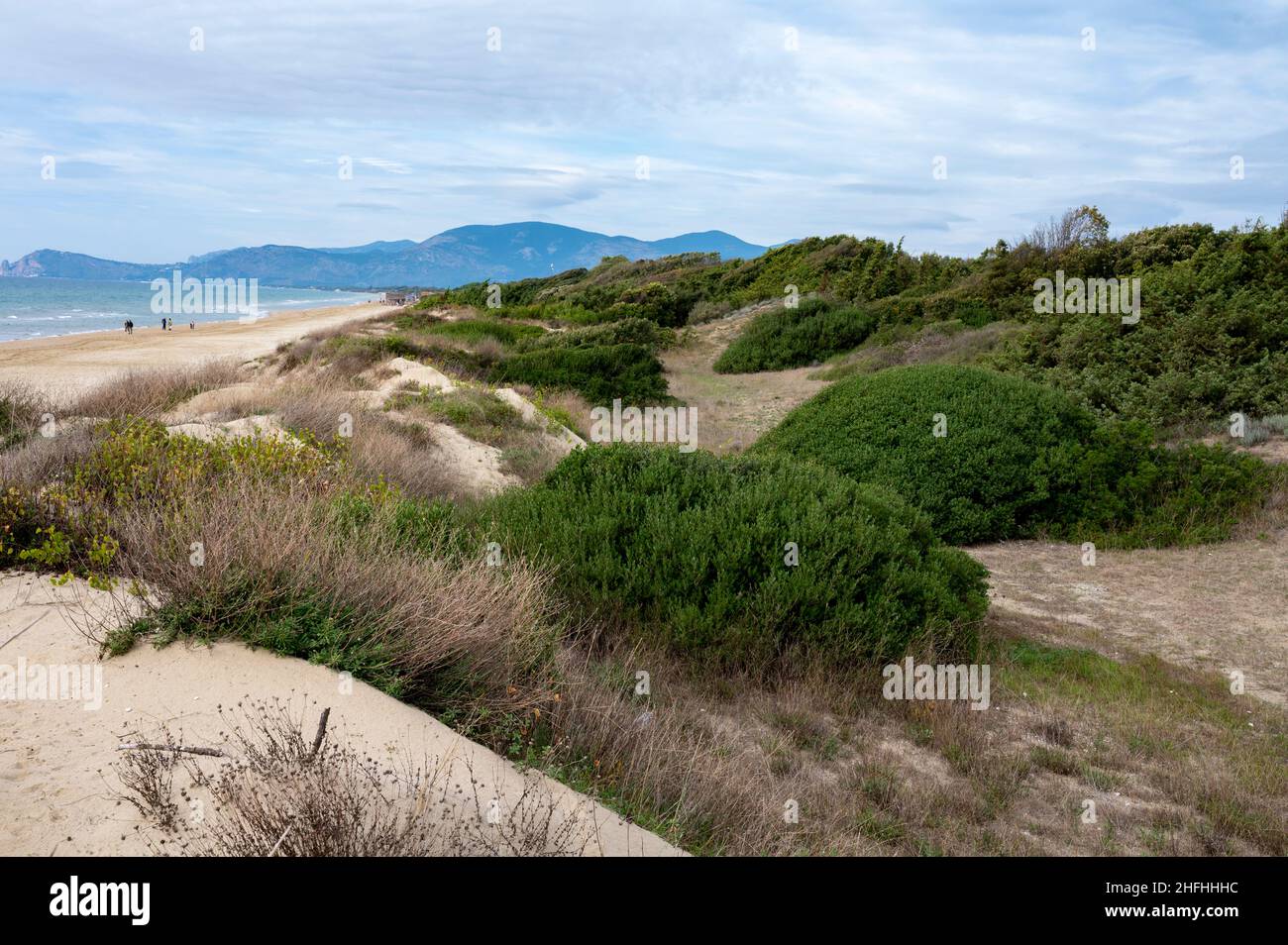 Aerial View On Sandy Dunes Beach And Coastline Of Tyrrhenian Sea