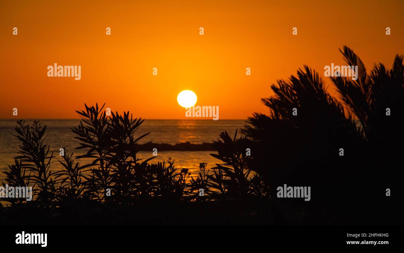 Big setting sun over ocean and silhouettes of tropical leaves and palm ...
