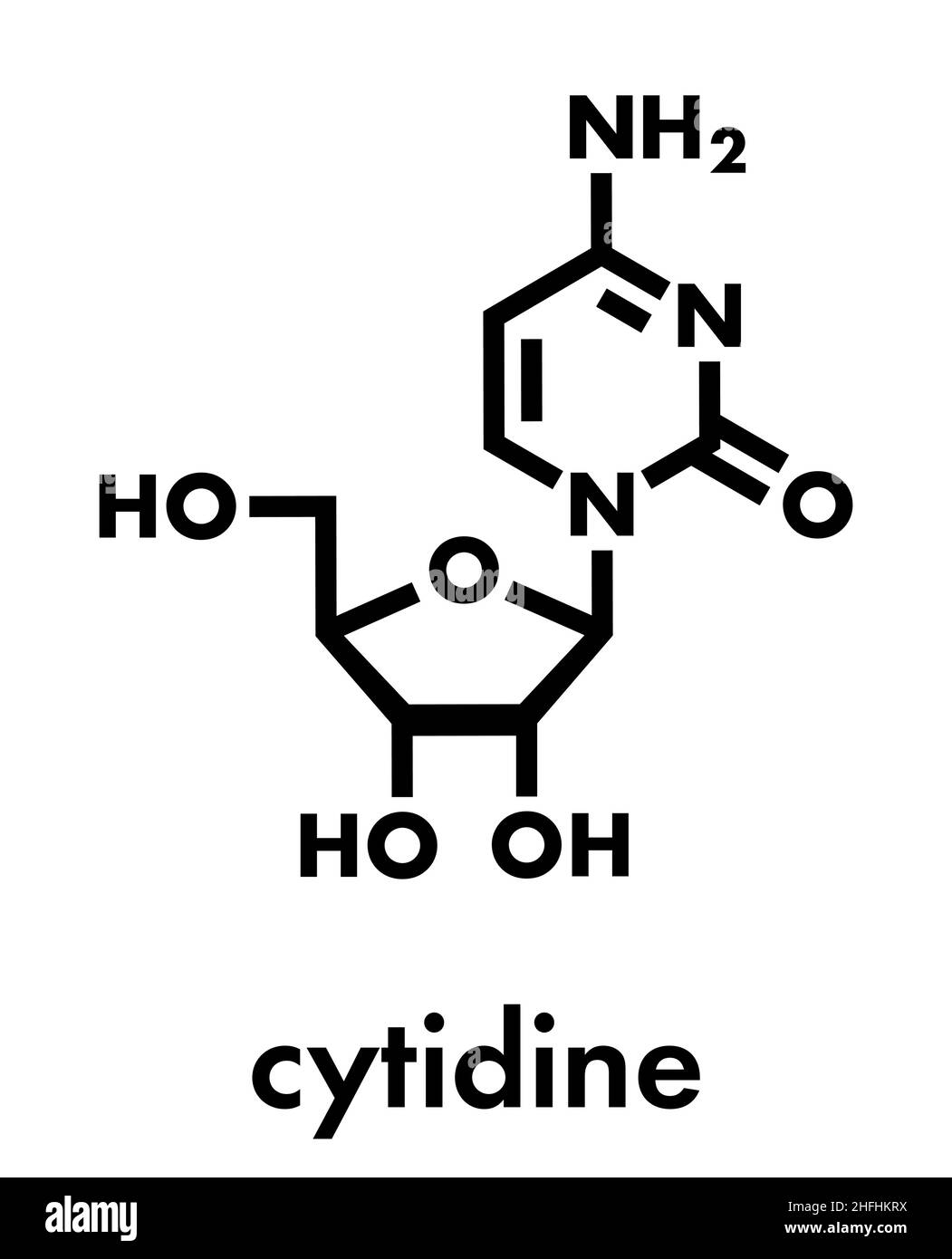 Cytidine RNA building block molecule. Skeletal formula Stock Vector ...