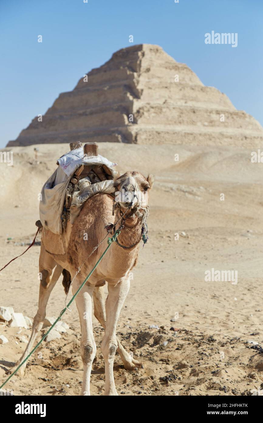 A View of the Step Pyramid of Djoser, Saqqara Stock Photo - Alamy