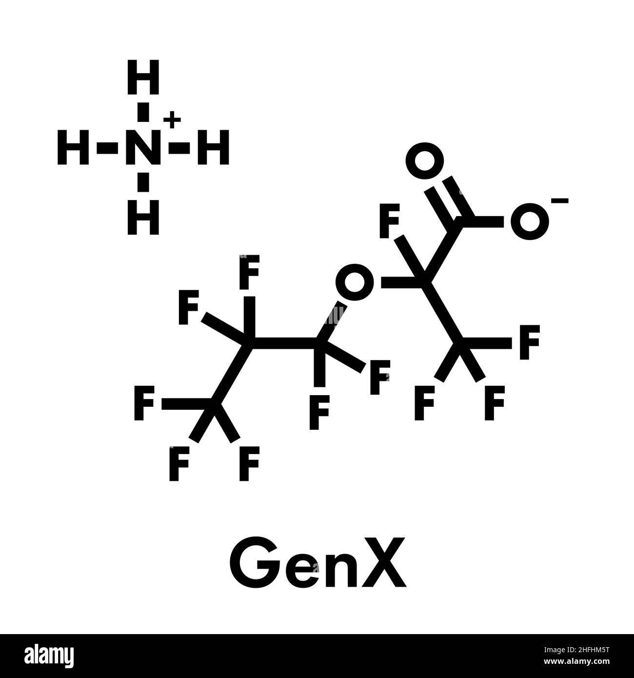 What Is H Pylori 4 Things To Know About This Common Parasite