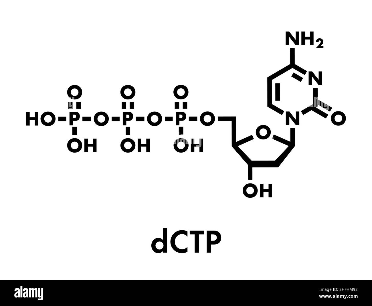 Deoxycytidine triphosphate (dCTP) nucleotide molecule. DNA building ...