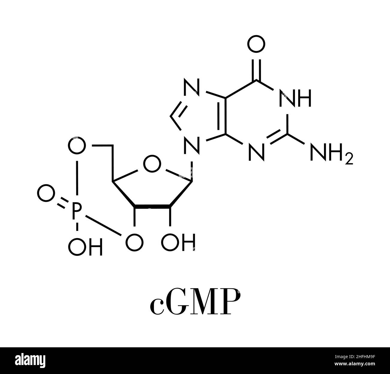 Cyclic guanosine monophosphate (cGMP) molecule. Important second ...