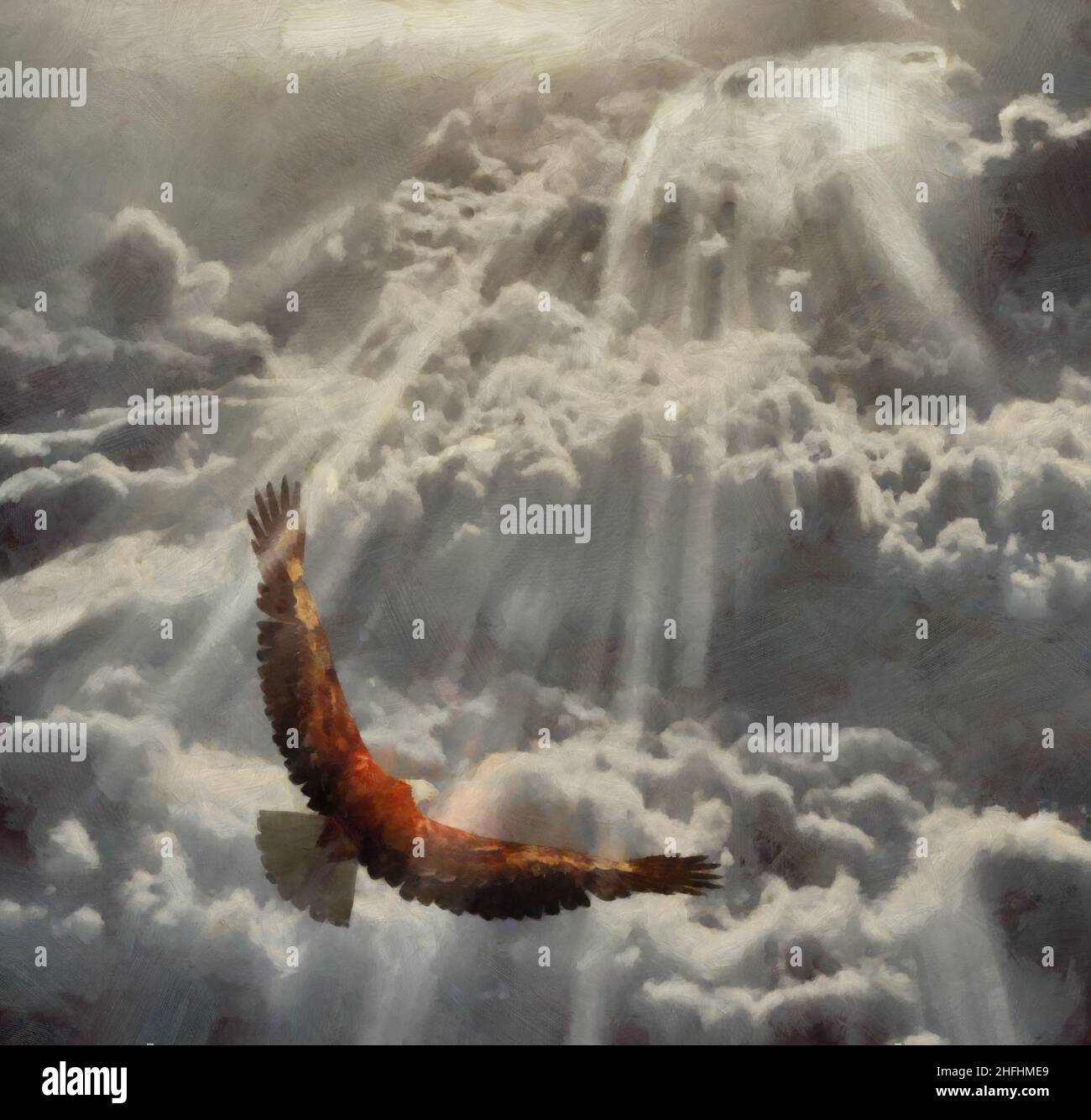 Bald eagle flies high hi-res stock photography and images - Alamy