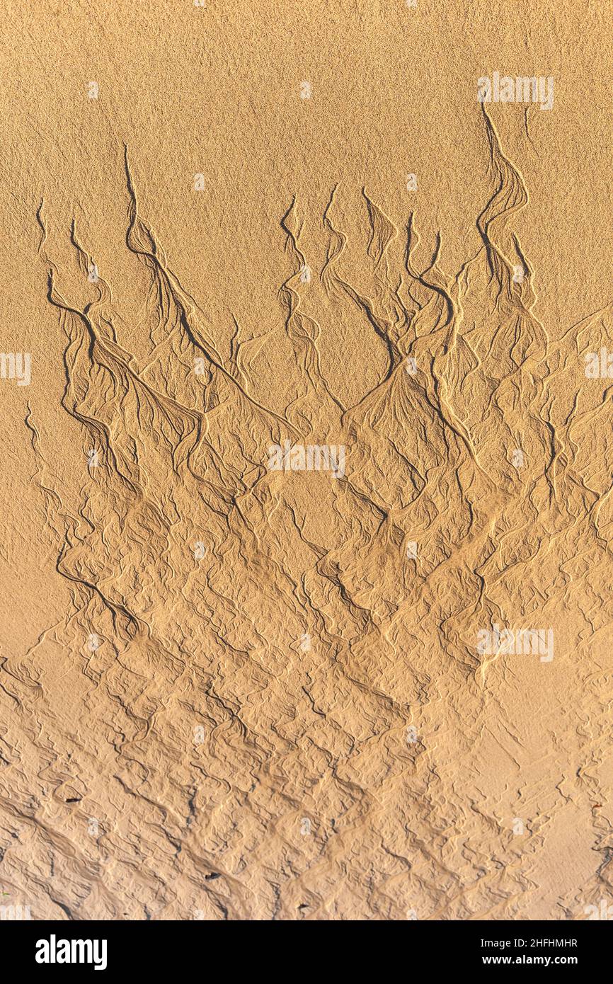 islamic pattern type texture on the sand beach while low tide time ...