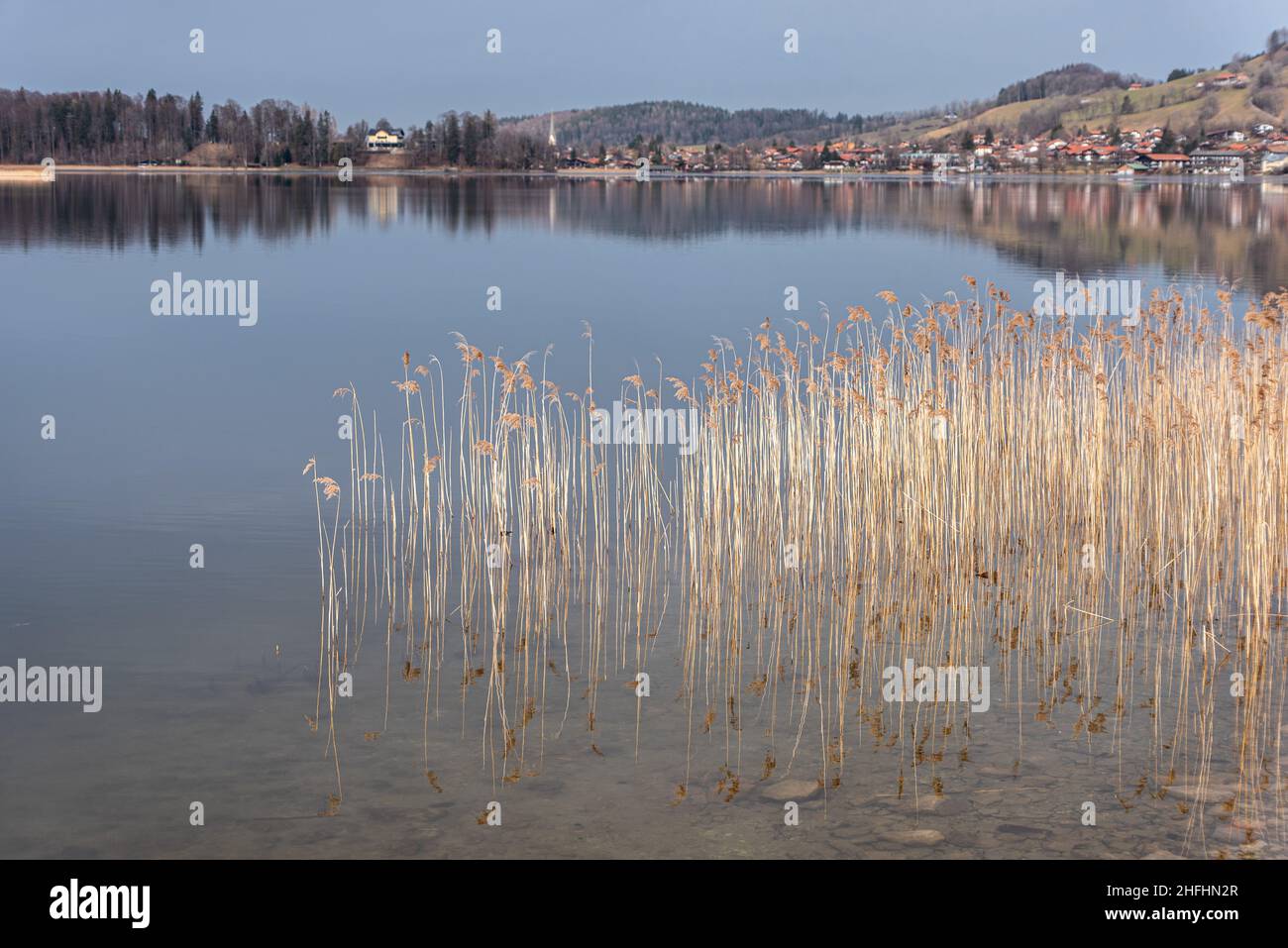 Scenic reflection of the vegetation at lake Schliersee in Bavaria ...