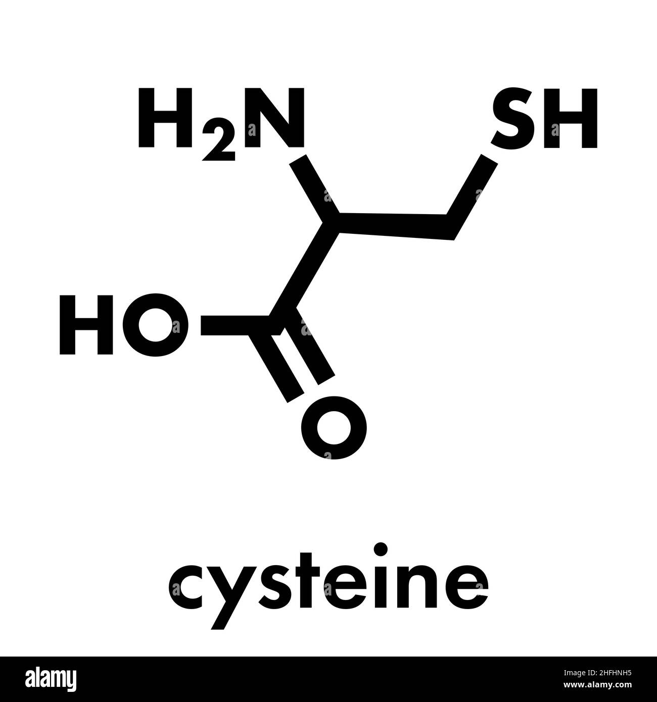 Cysteine (l-cysteine, Cys, C) amino acid molecule. Skeletal formula ...