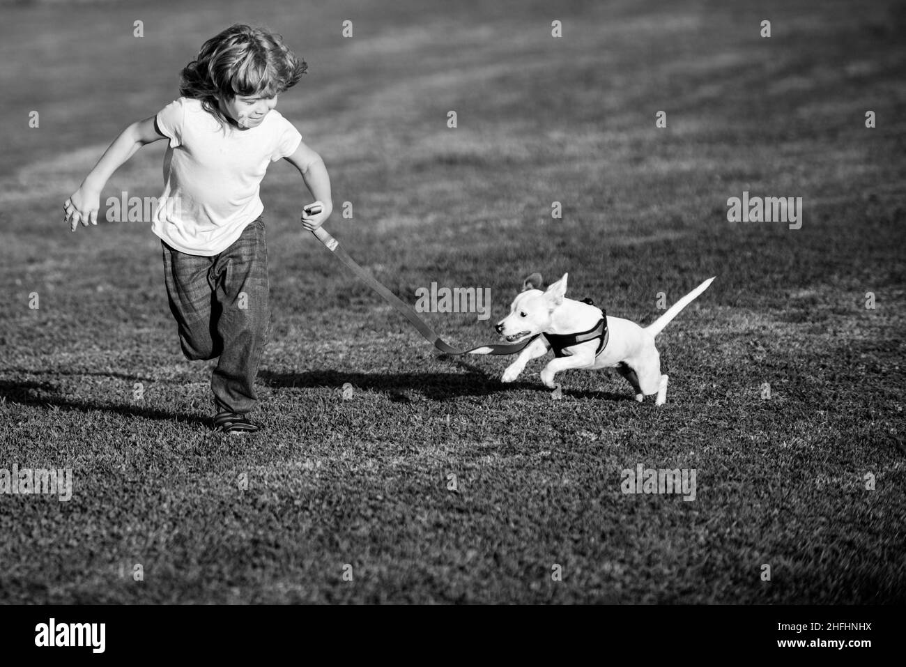 Boy running and playing with dog on the lawn in the park. Pet with ...