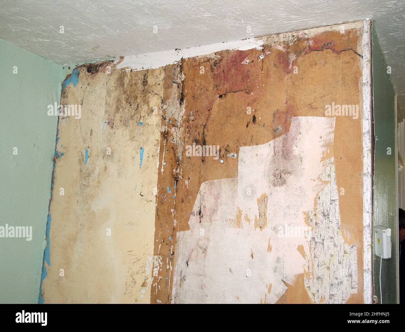 Damp wall hi-res stock photography and images - Alamy