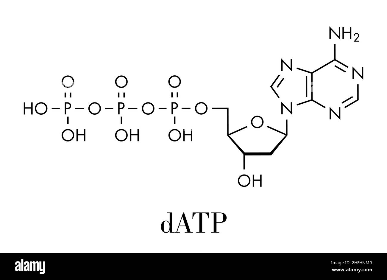 Deoxyadenosine triphosphate (dATP) nucleotide molecule. DNA building ...