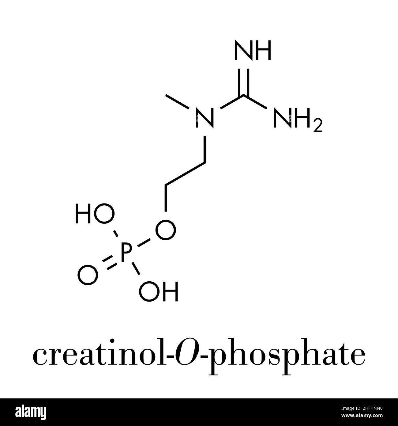 Creatinol-O-Phosphate or COP molecule. Skeletal formula Stock Vector ...