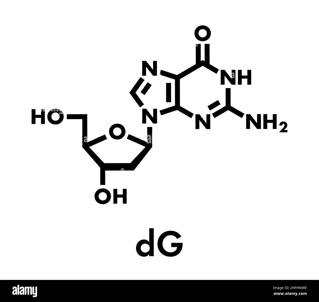 Deoxyguanosine (dG) nucleoside molecule. DNA building block. Skeletal ...