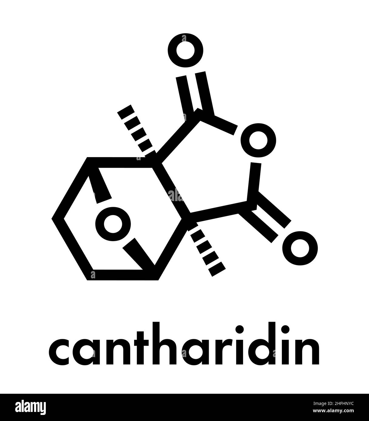 Cantharidin blister beetle poison molecule. Secreted by blister beetles ...