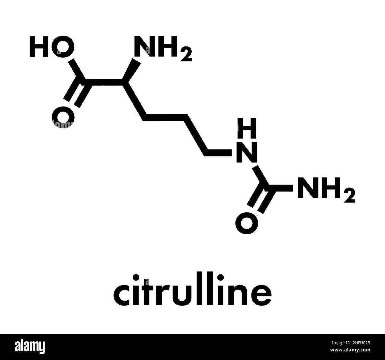 Citrulline amino acid molecule Stock Vector Images - Alamy