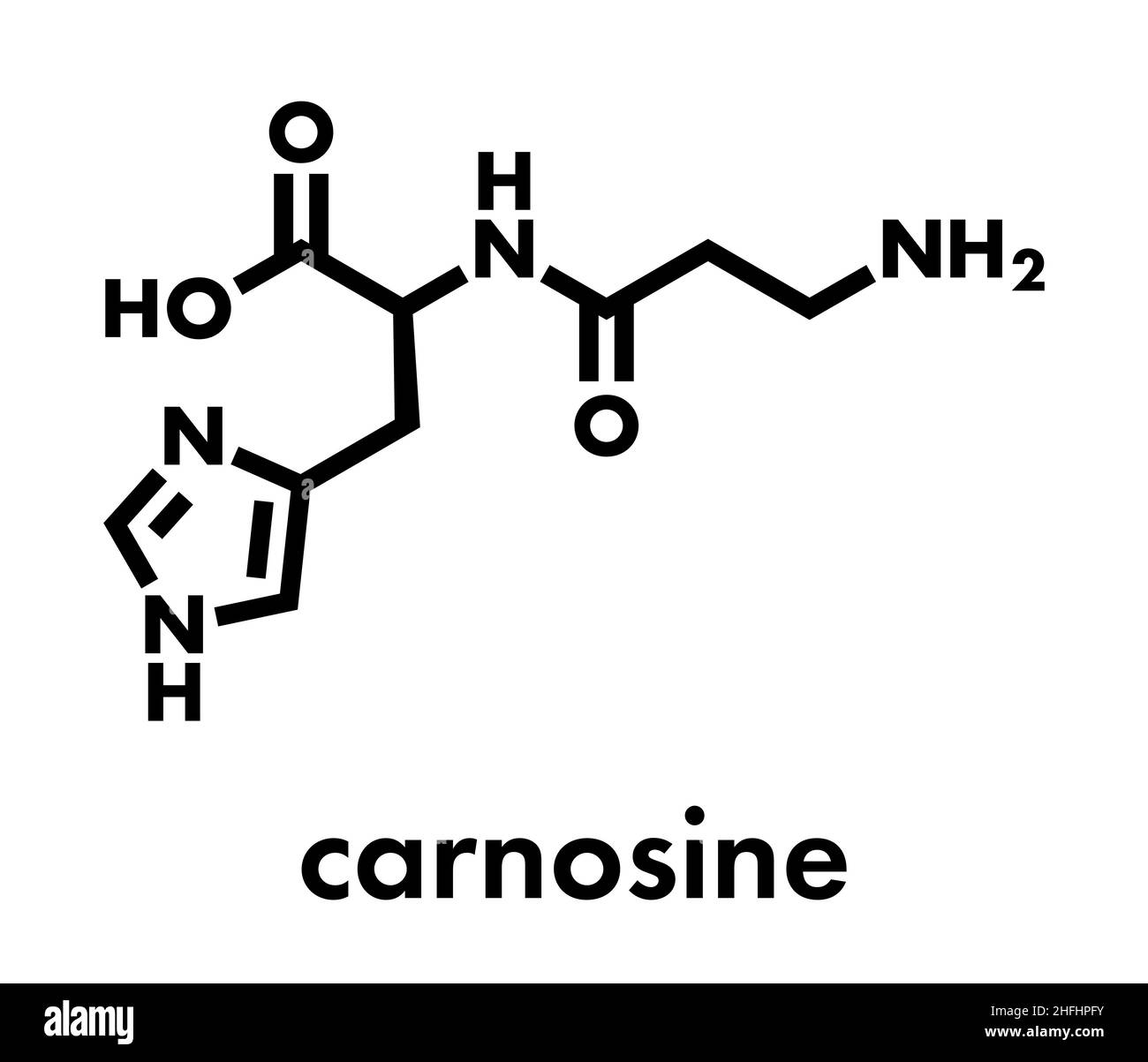 Carnosine molecule. Has antioxidant properties; commonly used in food ...