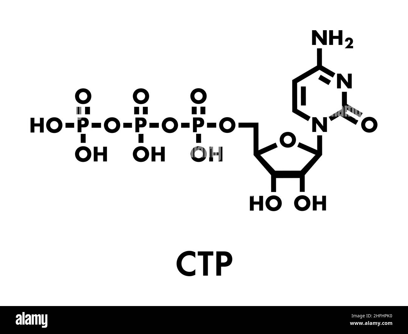 cytidine-triphosphate-rna-molecule-stock-vector-images-alamy