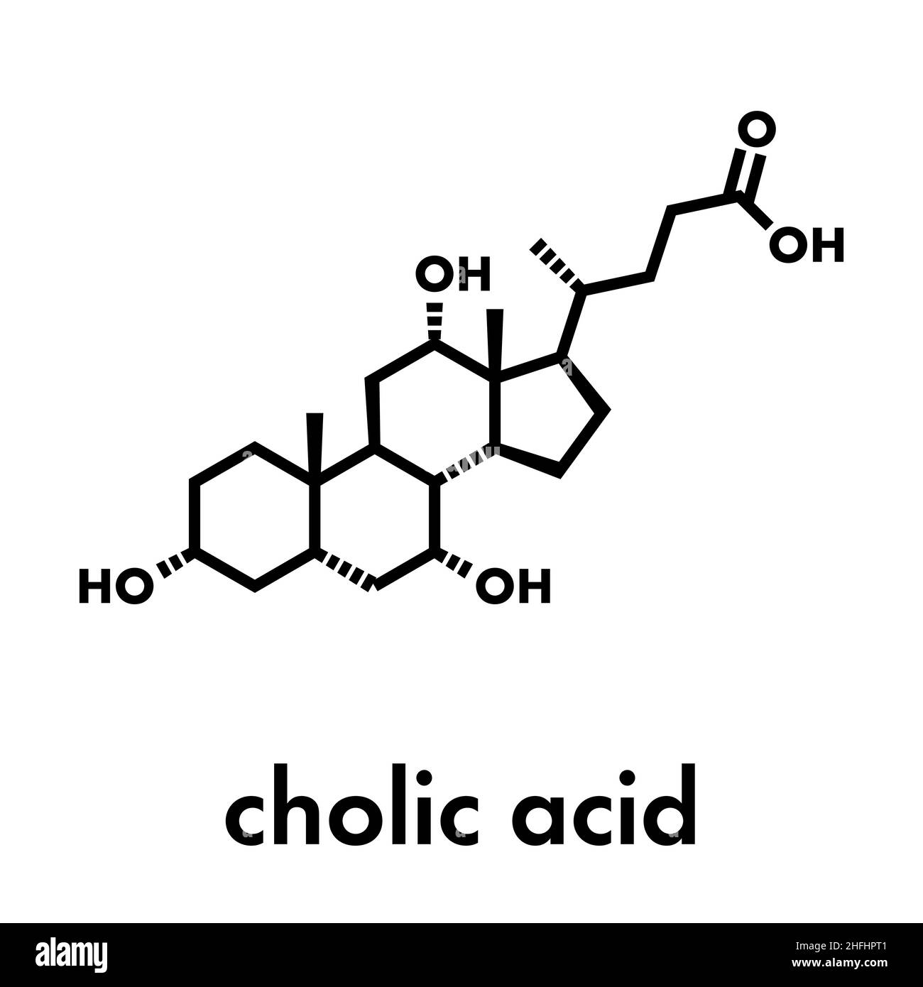 Cholic acid (cholate) molecule. Main bile acid component. Skeletal ...