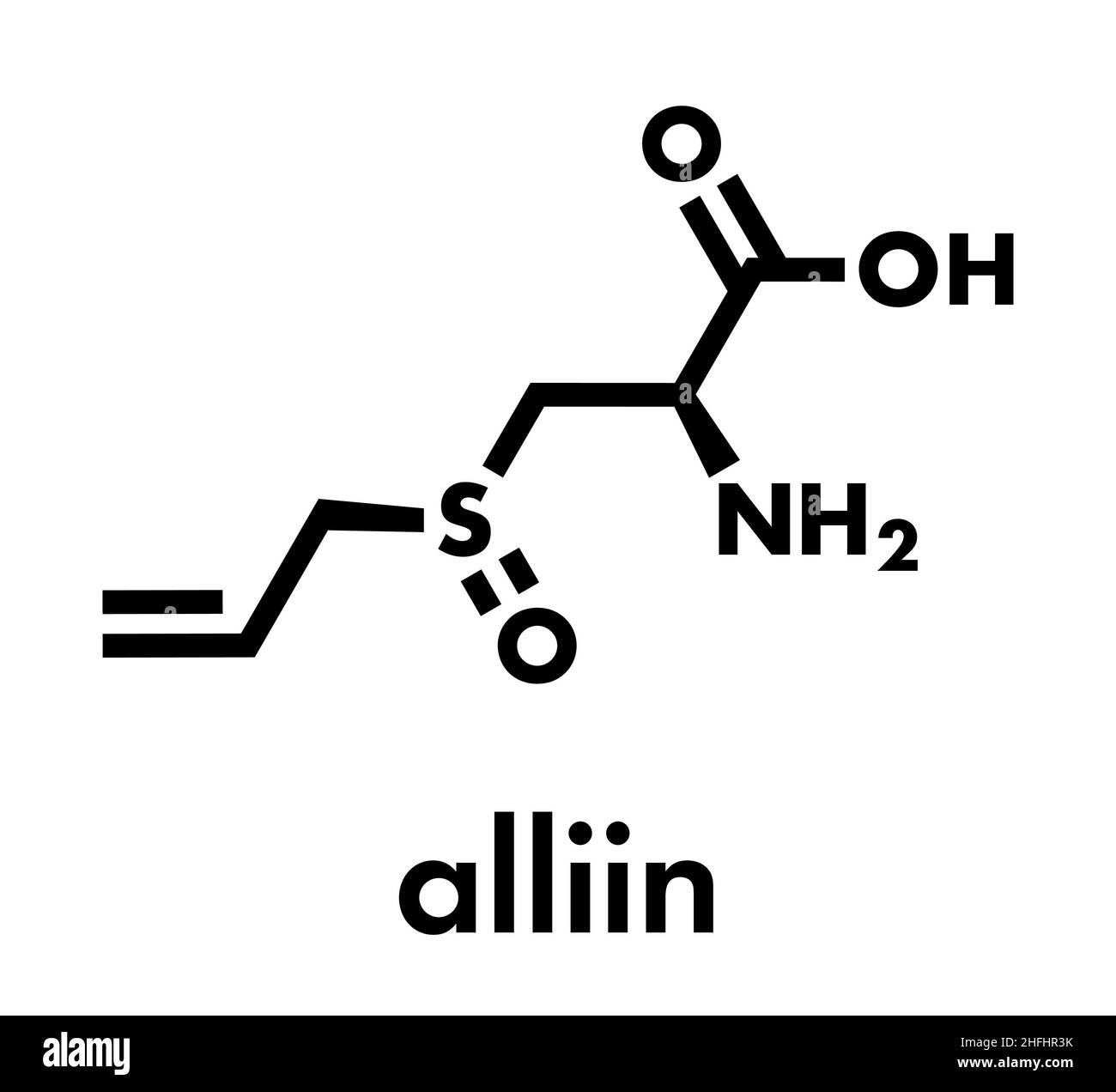 Alliin garlic molecule. Skeletal formula Stock Vector Image & Art - Alamy