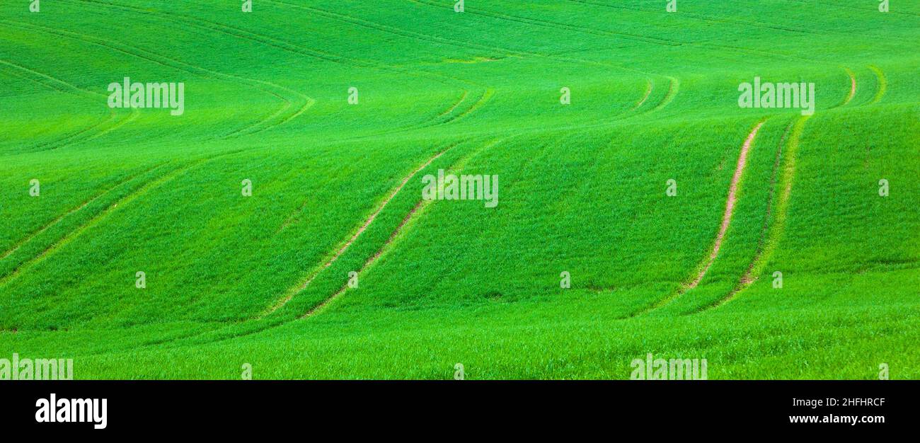 marks in the green field Stock Photo - Alamy