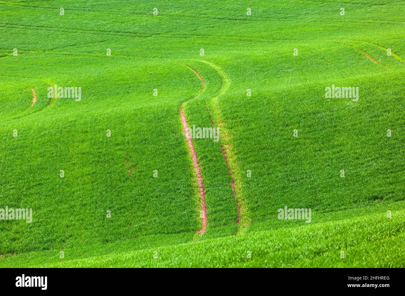 Skid marks grass hi-res stock photography and images - Alamy