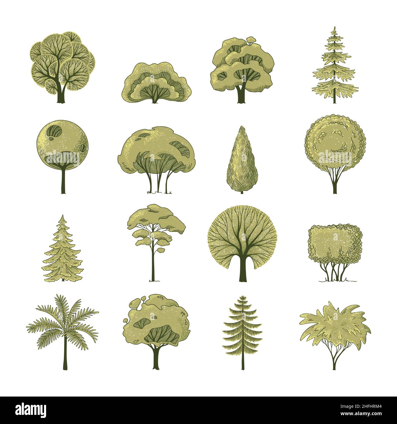 Flat forest trees camping elements for landscape design. Different ...