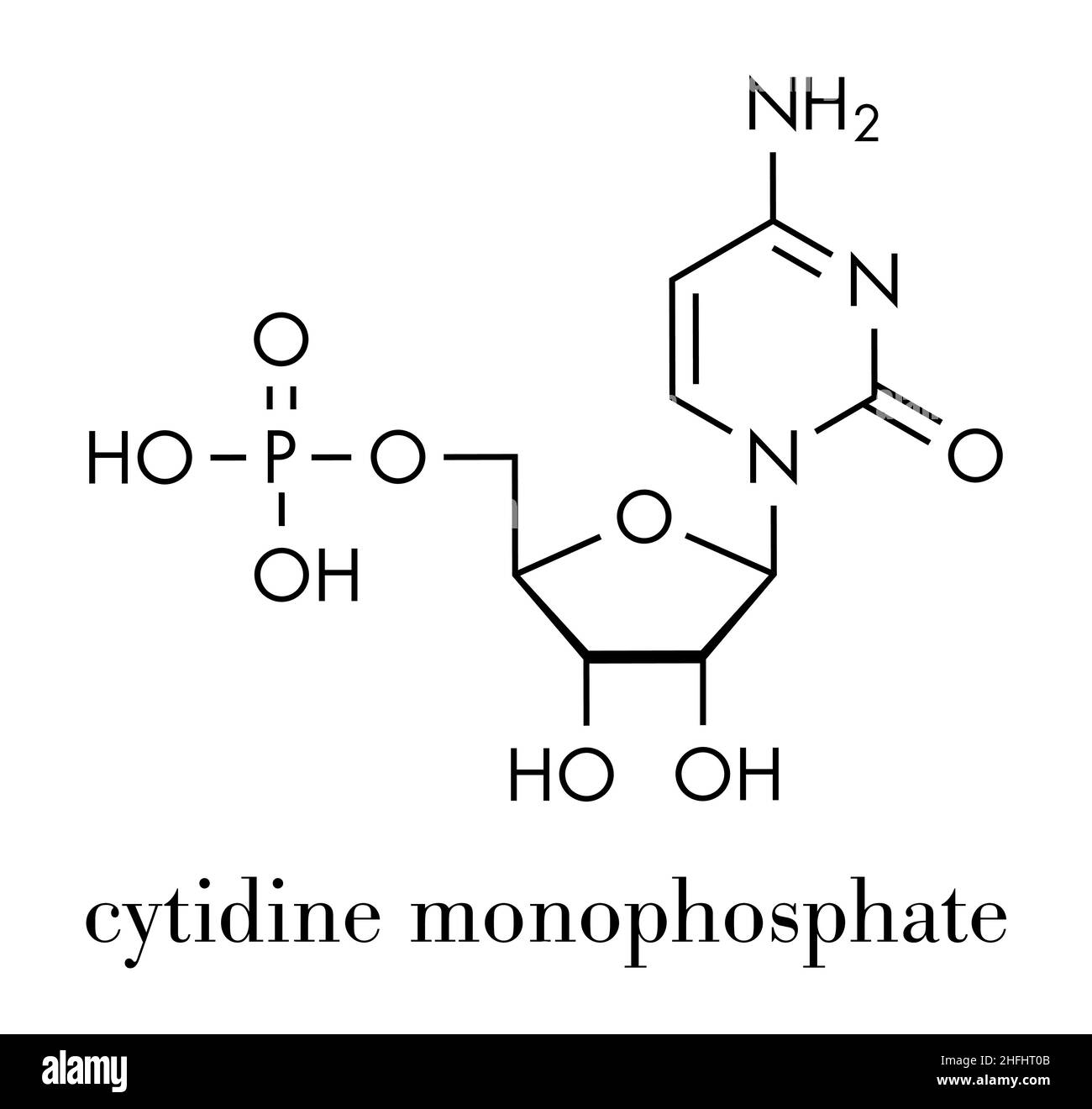 Cmp structure hi-res stock photography and images - Alamy