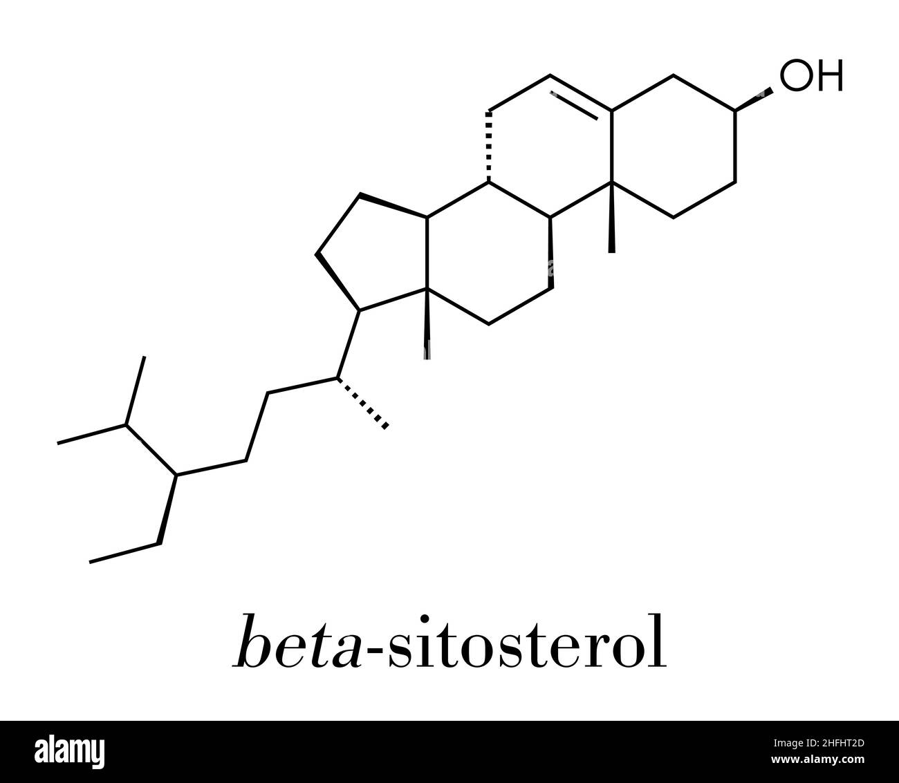 Prostate plant Black and White Stock Photos & Images - Alamy