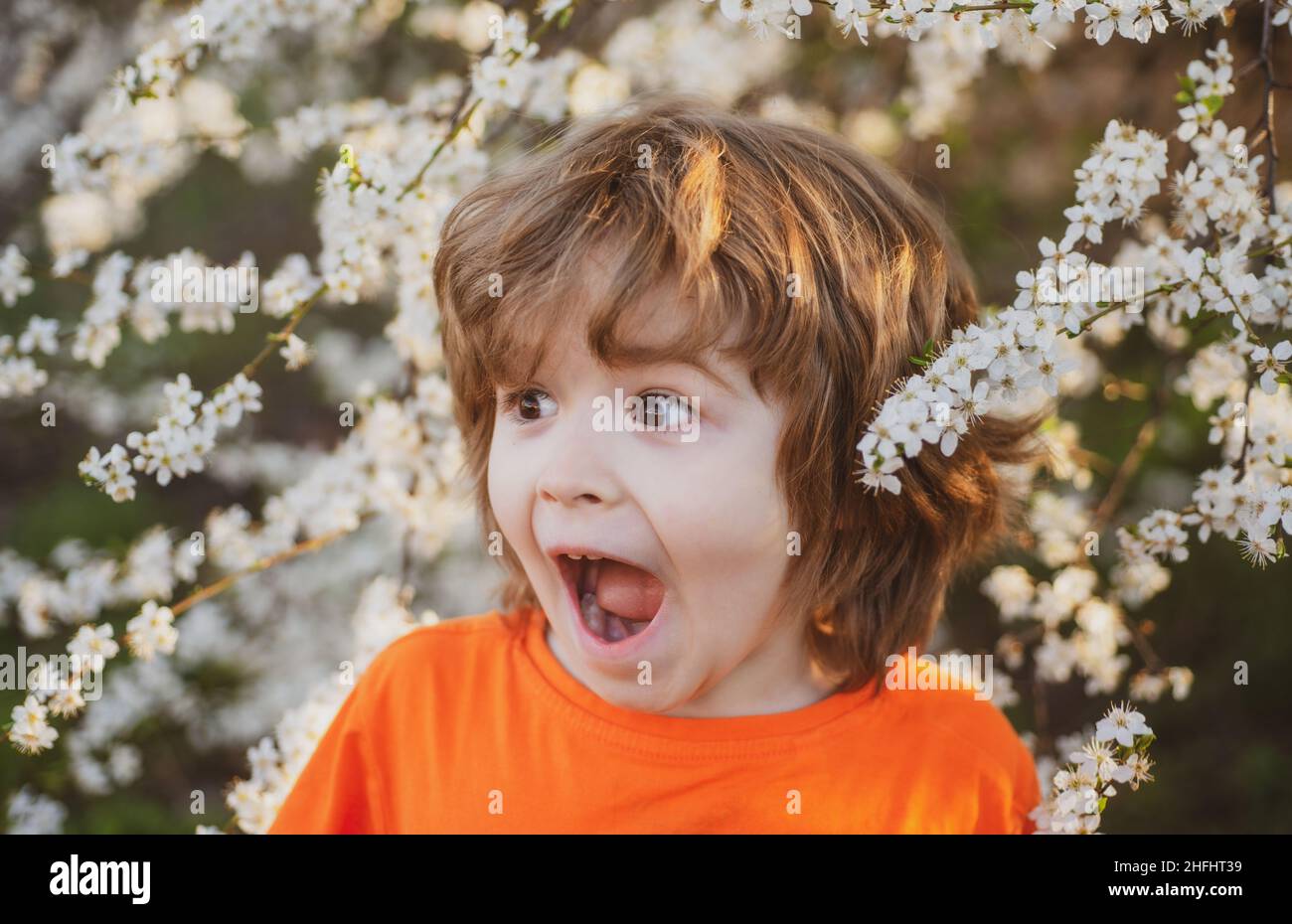 Excited kid in blooming tree in spring park. Happy boy outdoor. Blossom ...