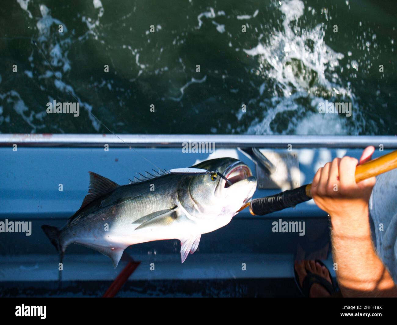 Gaffed fish hi-res stock photography and images - Alamy