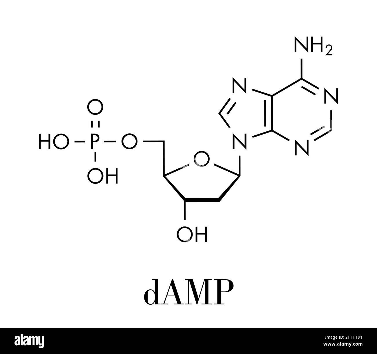 Deoxyadenosine monophosphate (dAMP) nucleotide molecule. DNA building ...