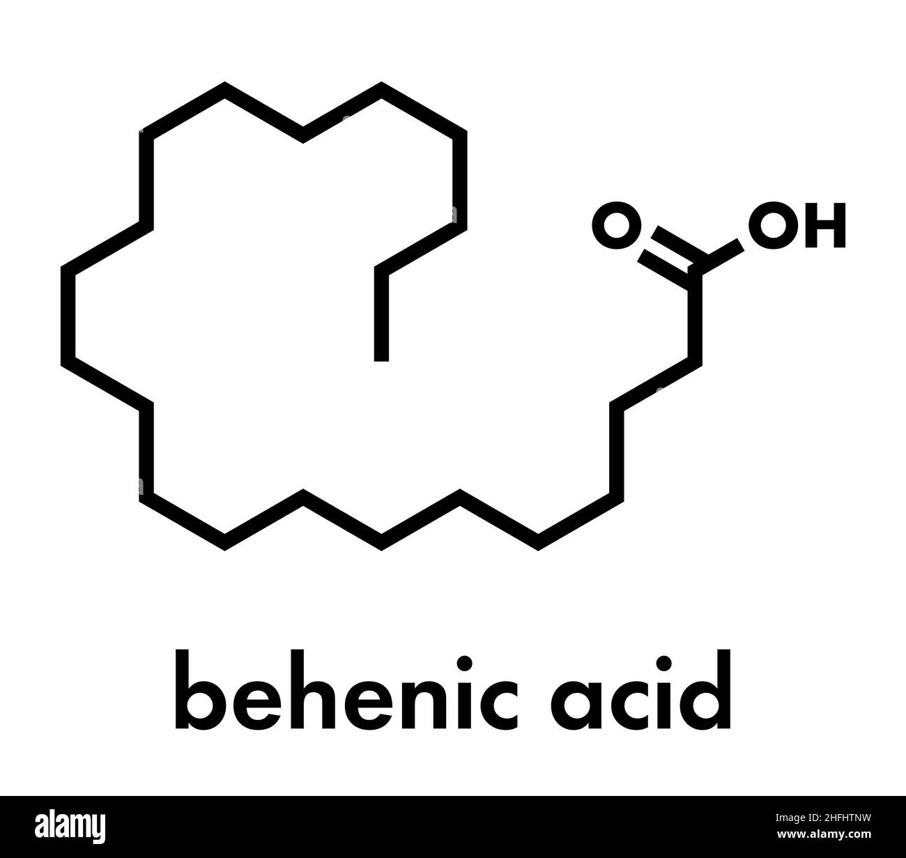 Behenic acid (docosanoic acid) saturated fatty acid molecule. Skeletal ...