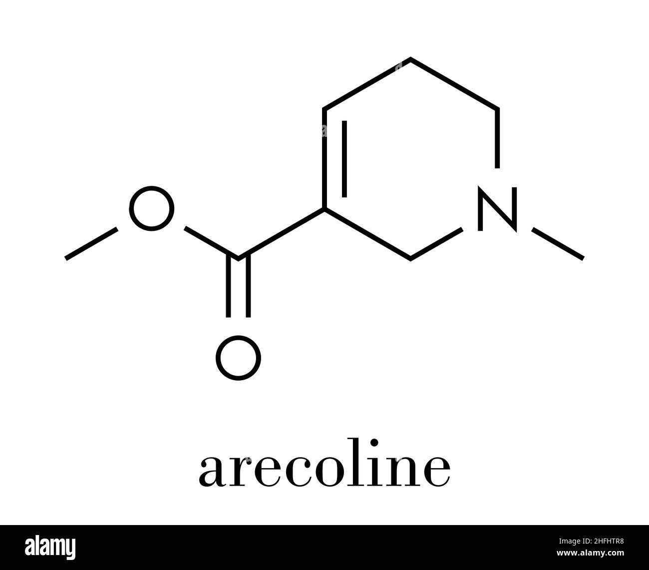 Arecoline areca nut stimulant compound, chemical structure. Skeletal ...