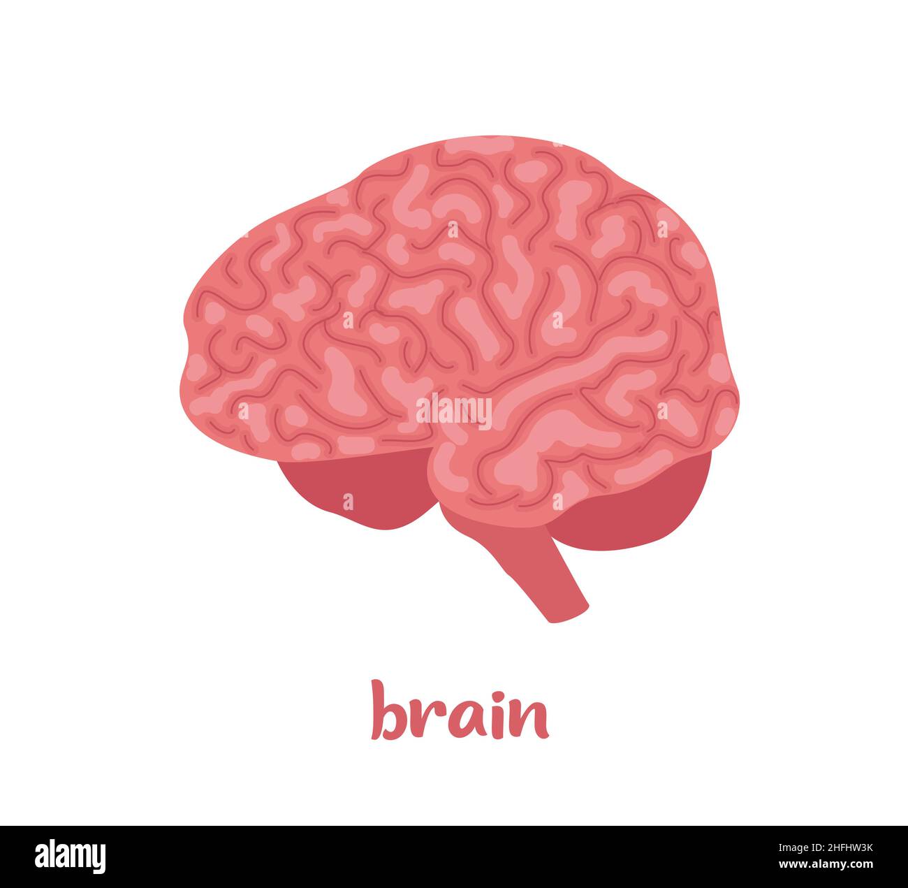 Human brain. Internal organ, anatomy. Vector flat icon illustration ...