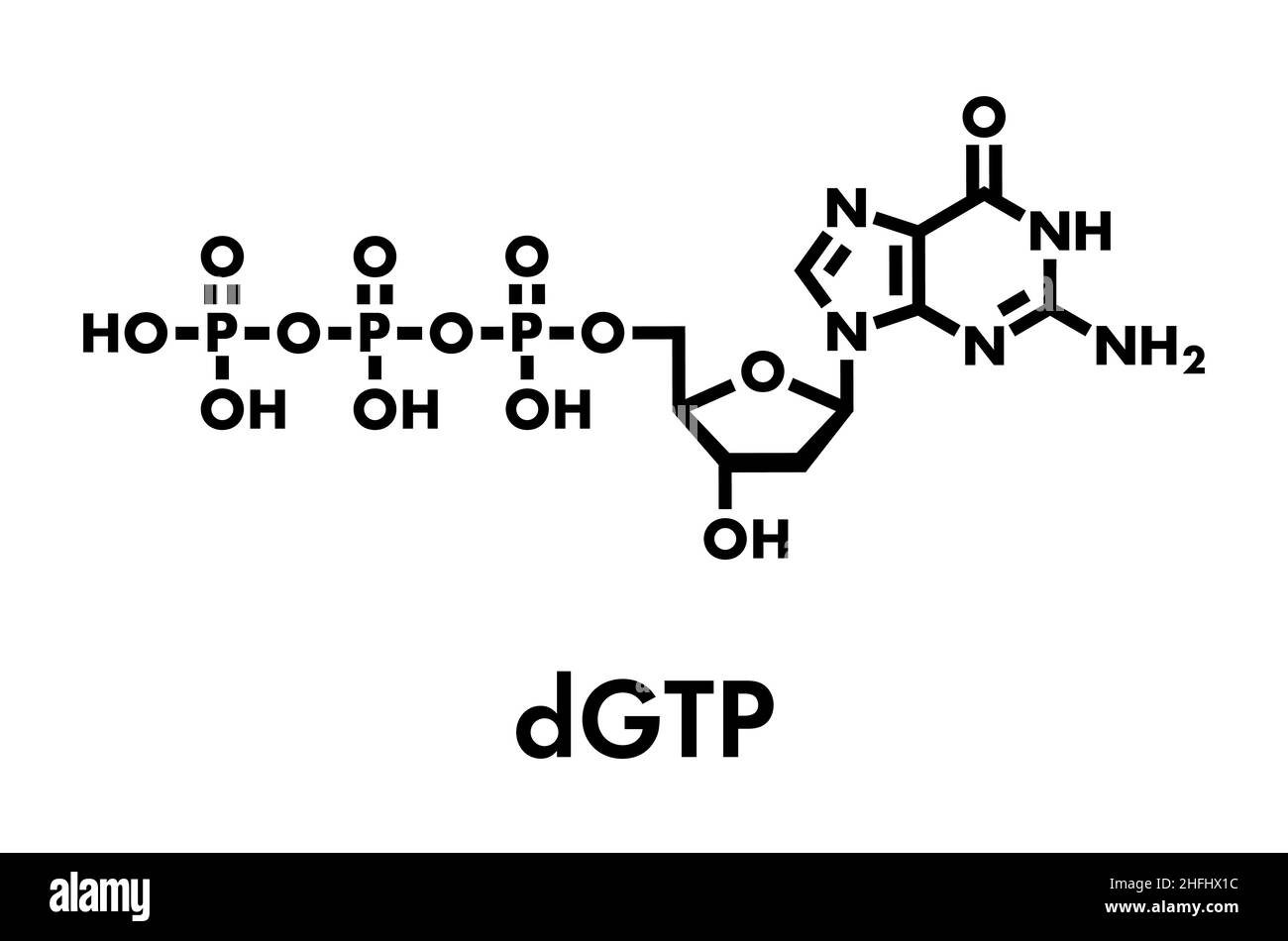 Deoxyguanosine triphosphate (dGTP) nucleotide molecule. DNA building ...