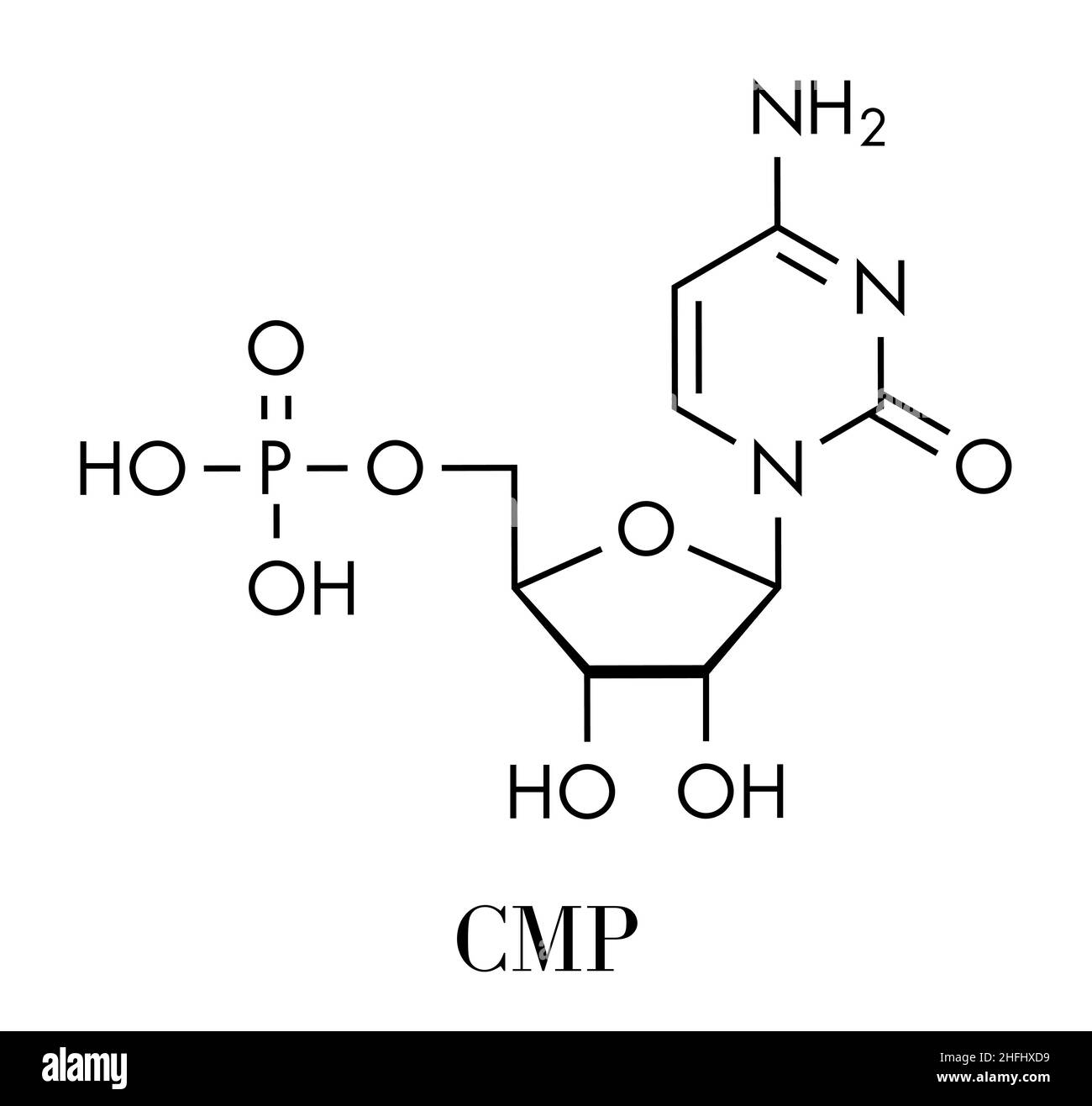 Cytidine monophosphate (CMP, cytidylate) RNA building block molecule ...